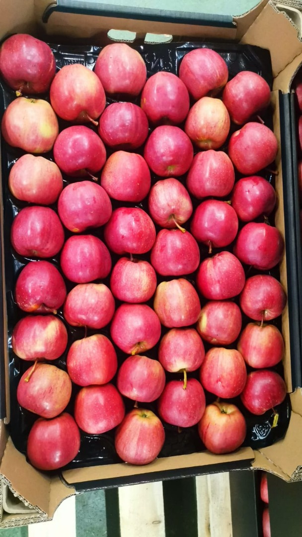 Dobry dzień. Oferuję Ci piękne jabłko, Gala. Pakowane