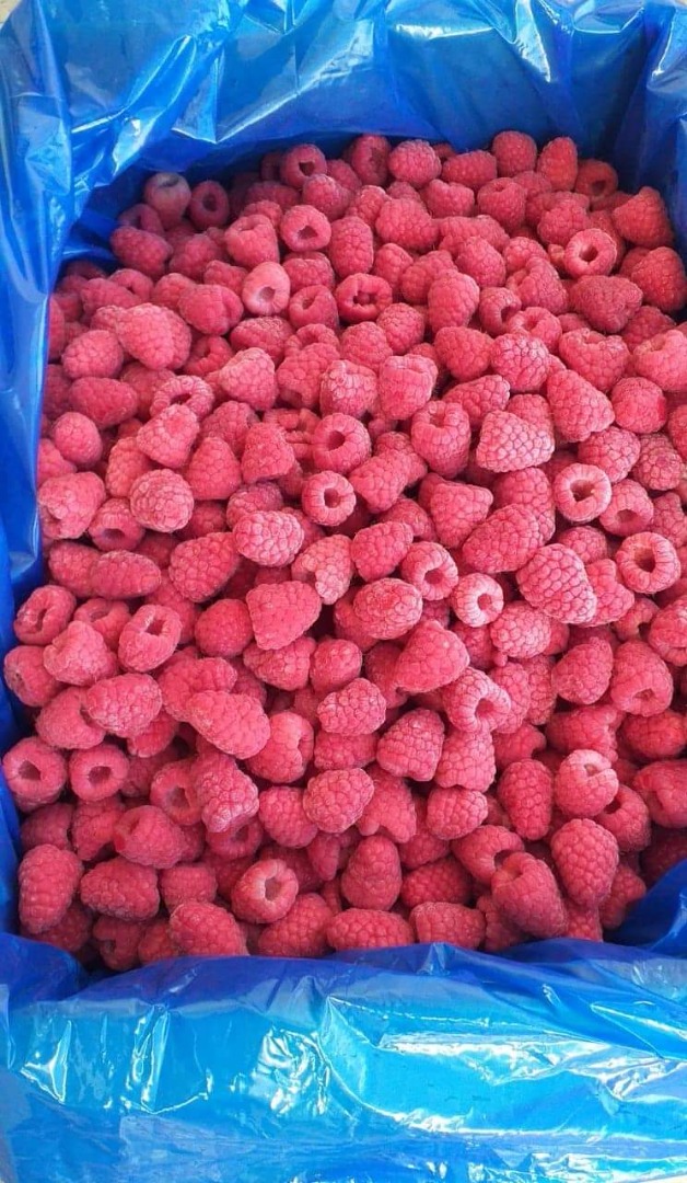 Sorta malinowa: wczesny oryginał