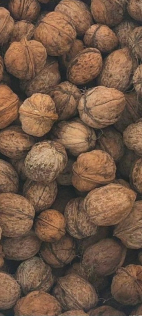 Sprzedam orzechy włoskie BIO w łupinie bardzo ładne