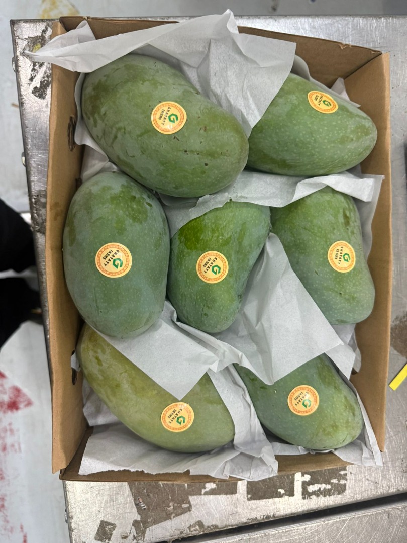Mango fresh ,tree ripe, ready-to-eat imported from Egypt